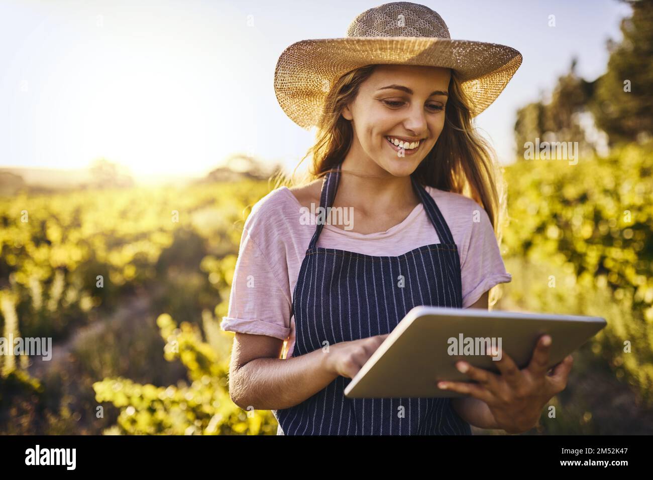 Farming apps are just a tap away. a young woman using a digital tablet ...