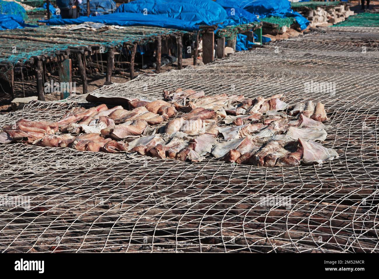 Dry fish in the village on Casamance river, Ziguinchor Region, Senegal ...