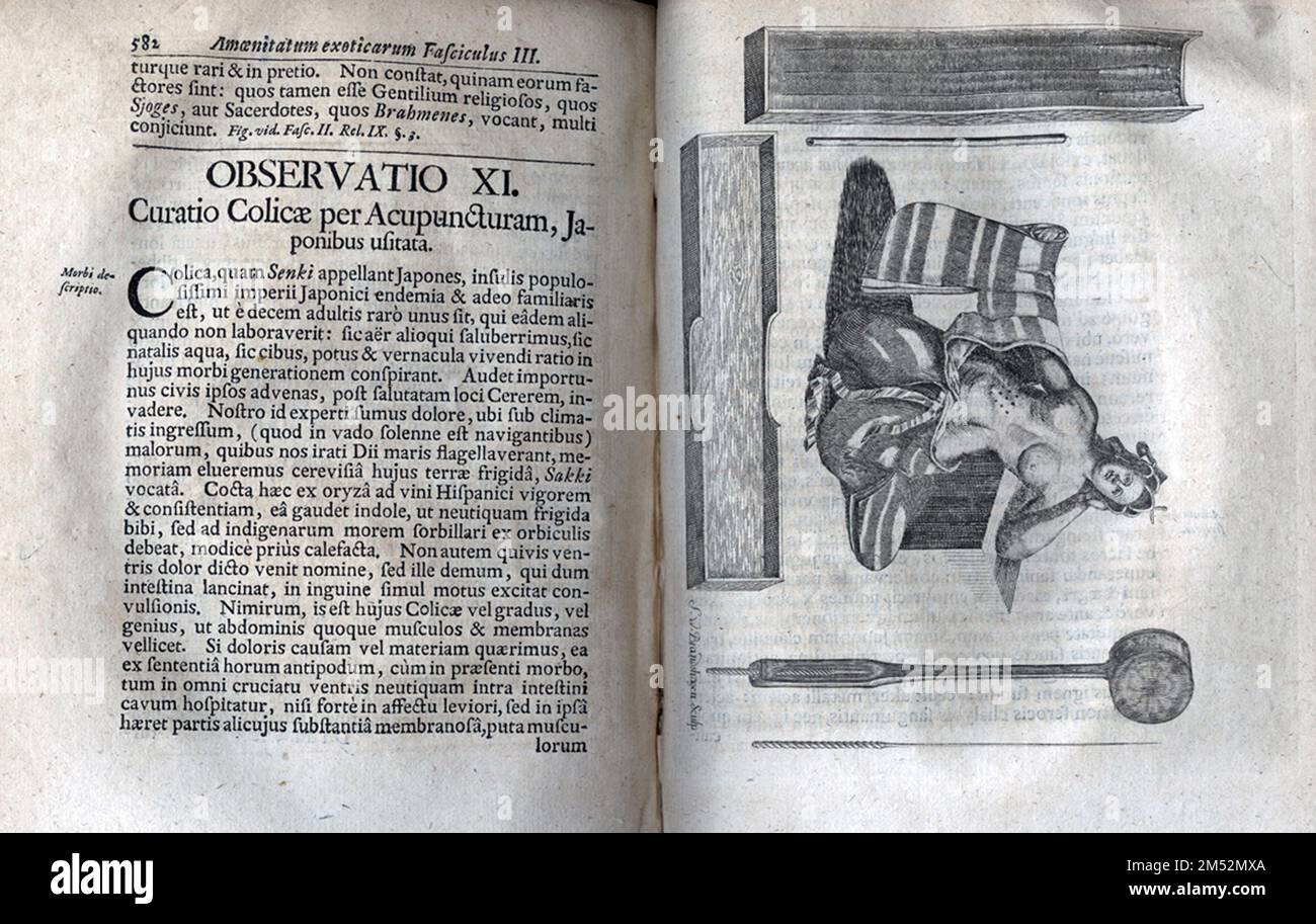 Amoentitatum hi-res stock photography and images - Alamy