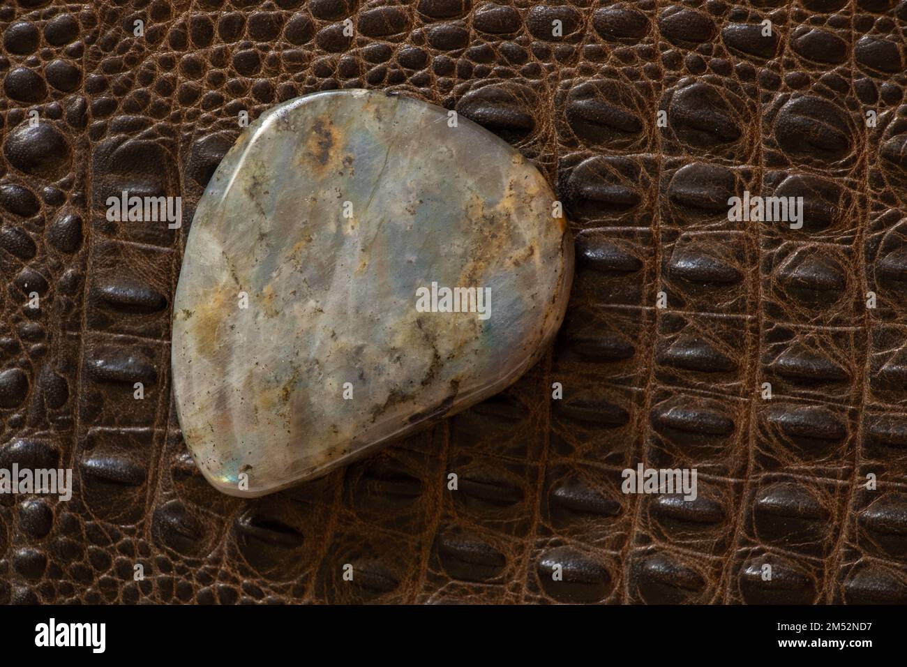 stone labrador on leather background closeup Stock Photo - Alamy