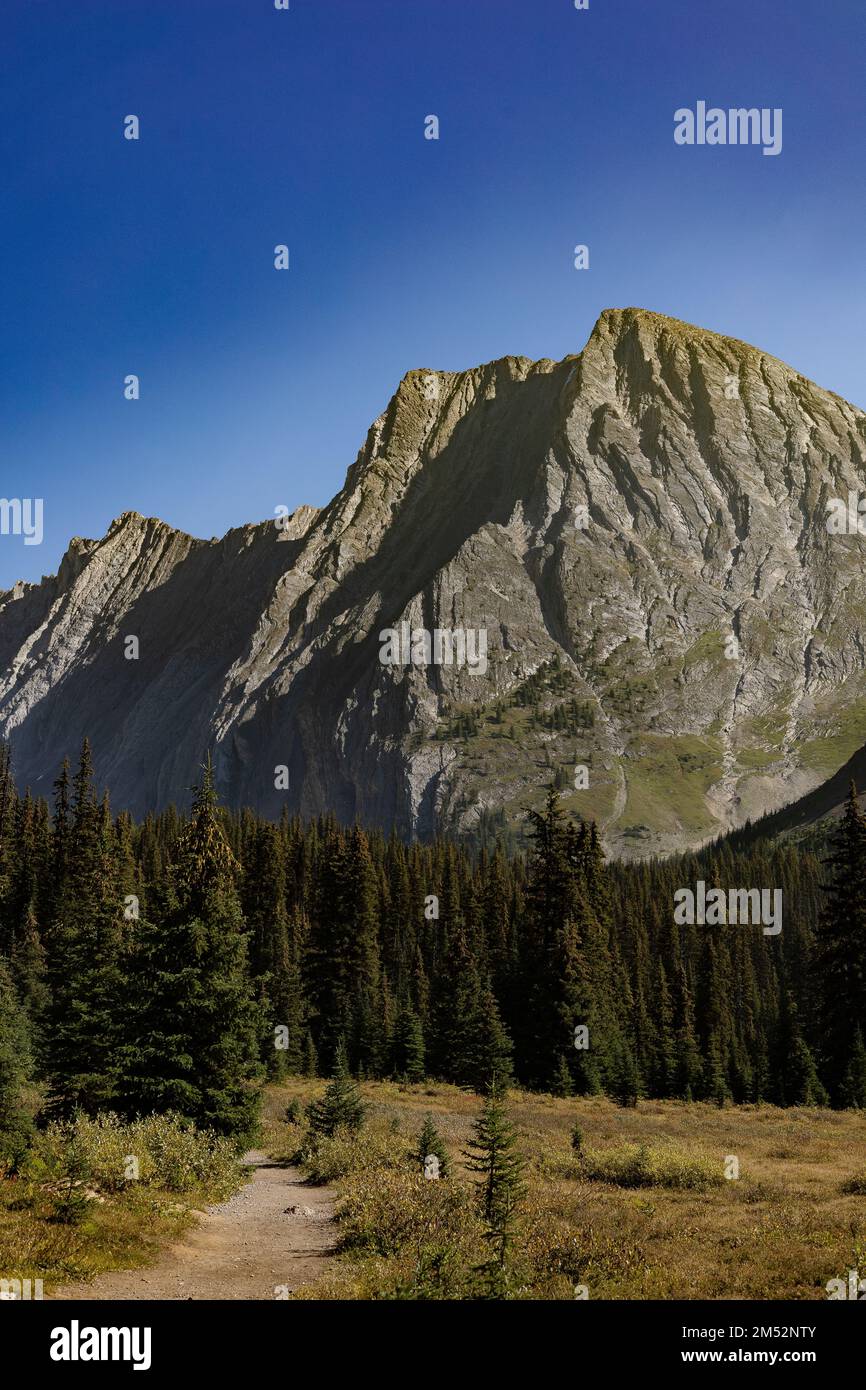 A vertical shot of a narrow trail in front of Mount Chester against a ...