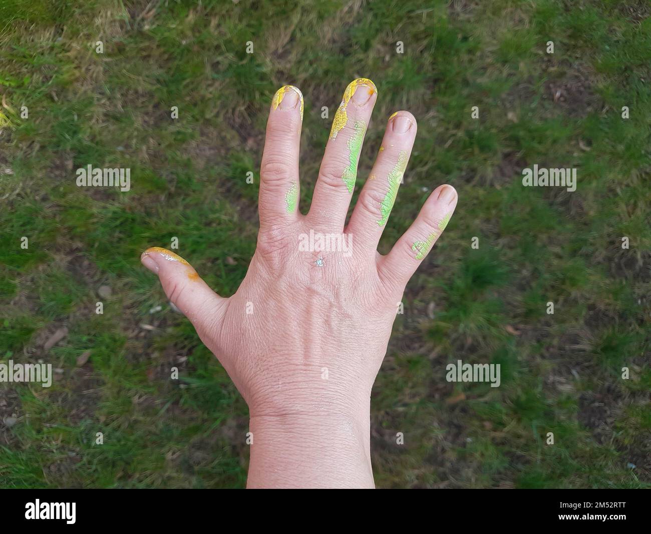 City landscaper hi-res stock photography and images - Alamy