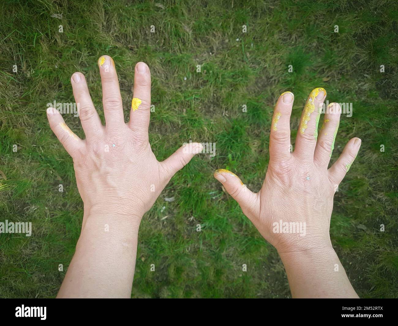 close up. landscape designer touching green grass Stock Photo - Alamy