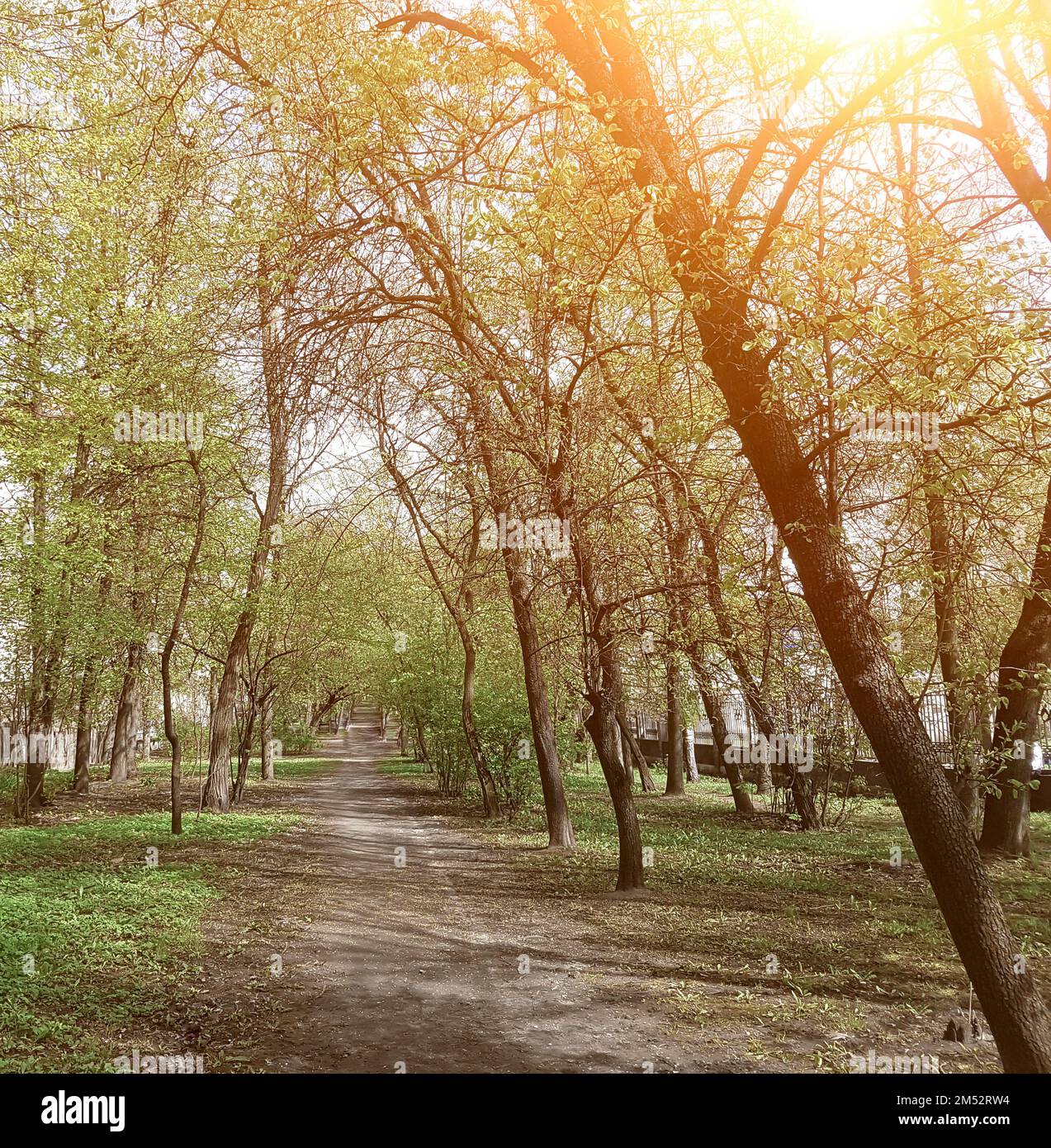 Shady climate hi-res stock photography and images - Alamy