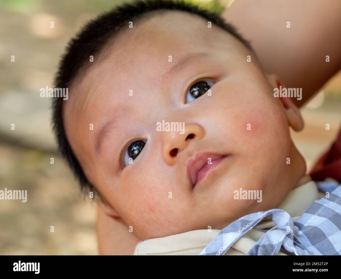 Baby Asian and Thai nationality is looking Stock Photo - Alamy