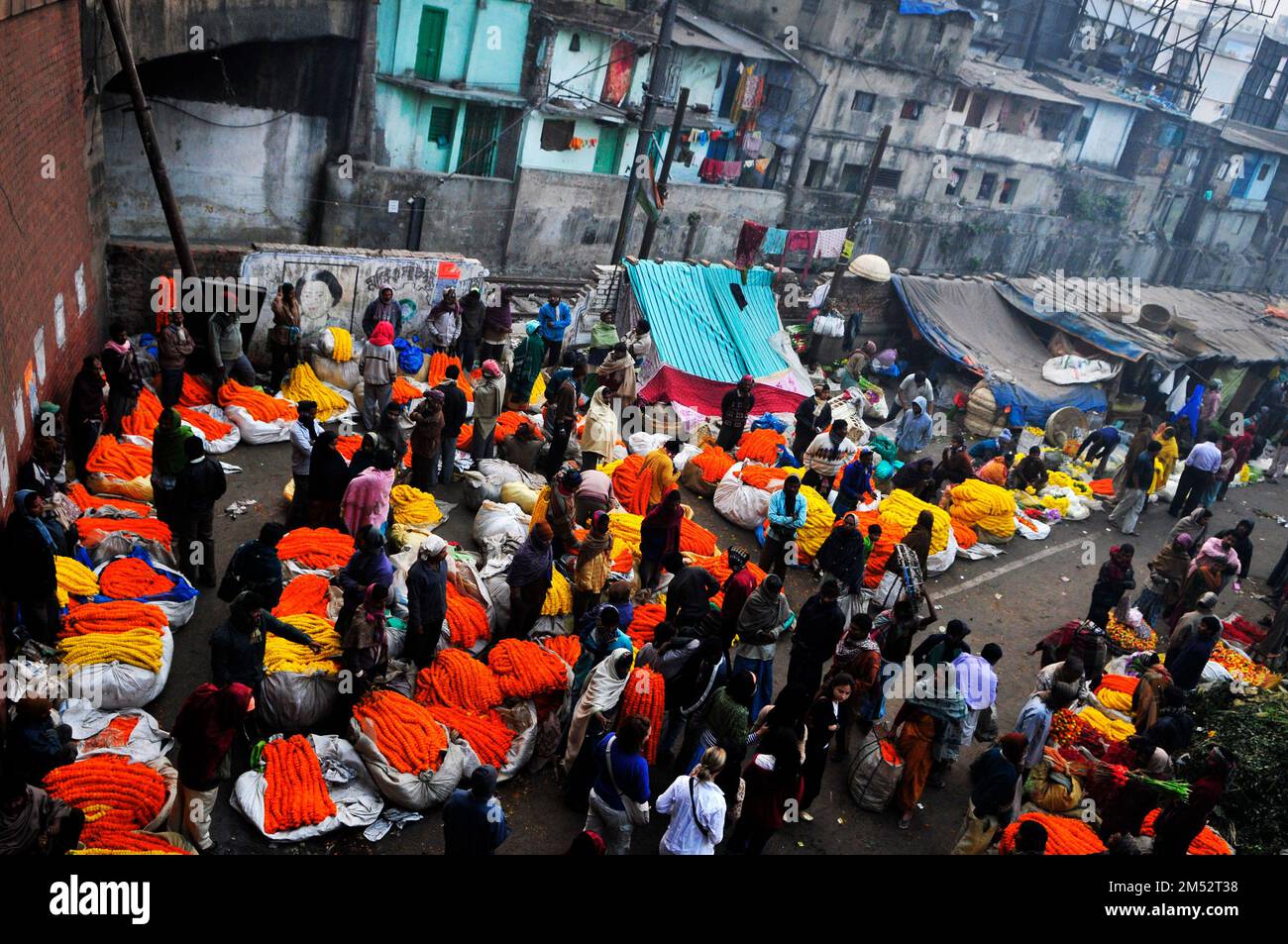 Mallick Ghat is one of the biggest flower markets in Asia. Early ...