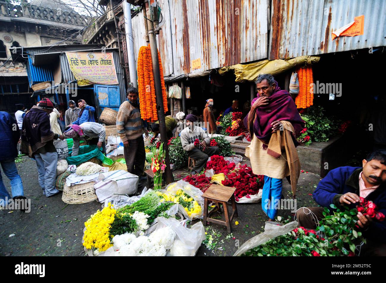 Mallick Ghat is one of the biggest flower markets in Asia. Early ...