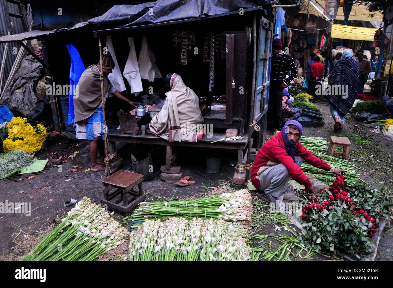 Mallick Ghat is one of the biggest flower markets in Asia. Early ...