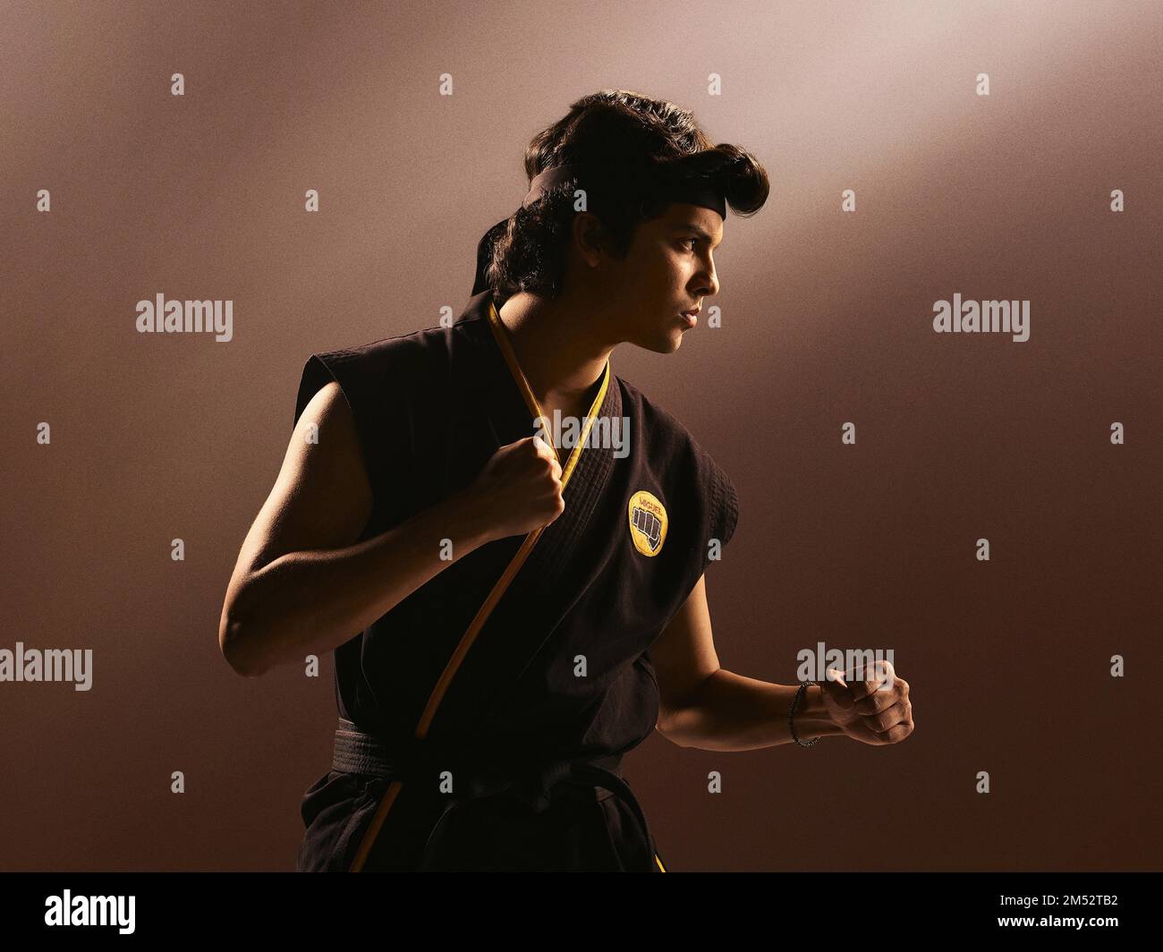 COBRA KAI (2018), directed by JON HURWITZ and HAYDEN SCHLOSSBERG ...