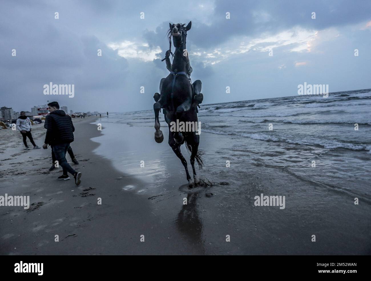 Gaza, Palestine. 24th Dec, 2022. A Palestinian man rides his horse on ...