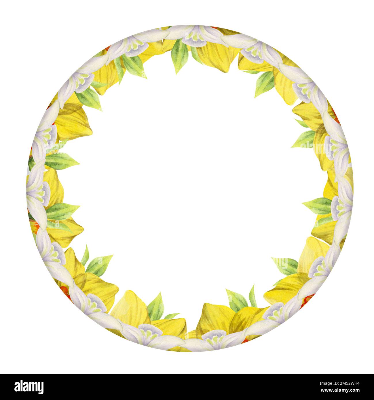 Watercolor hand drawn circle wreath with spring flowers, daffodils ...