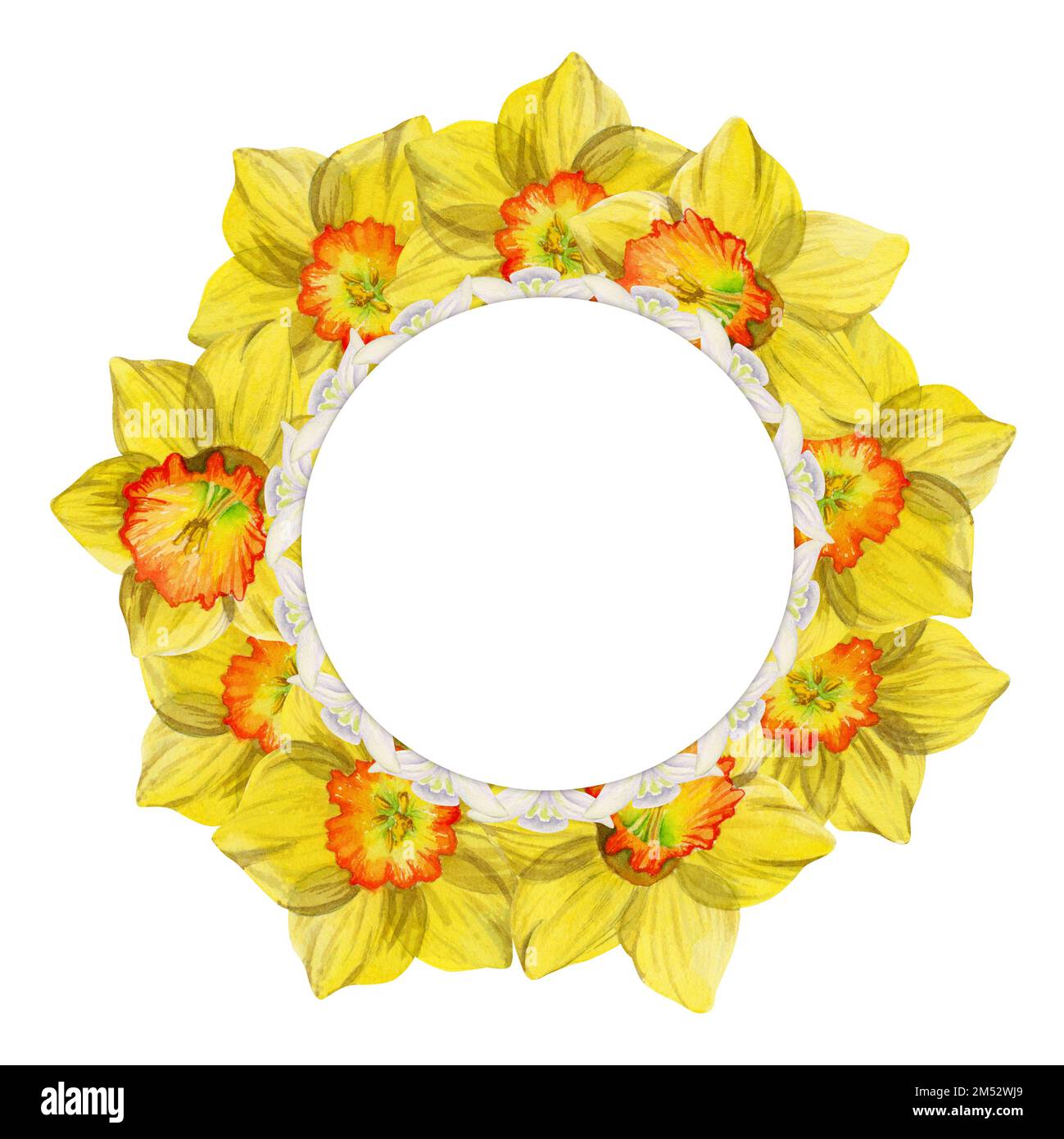 Watercolor hand drawn circle wreath with spring flowers, daffodils ...