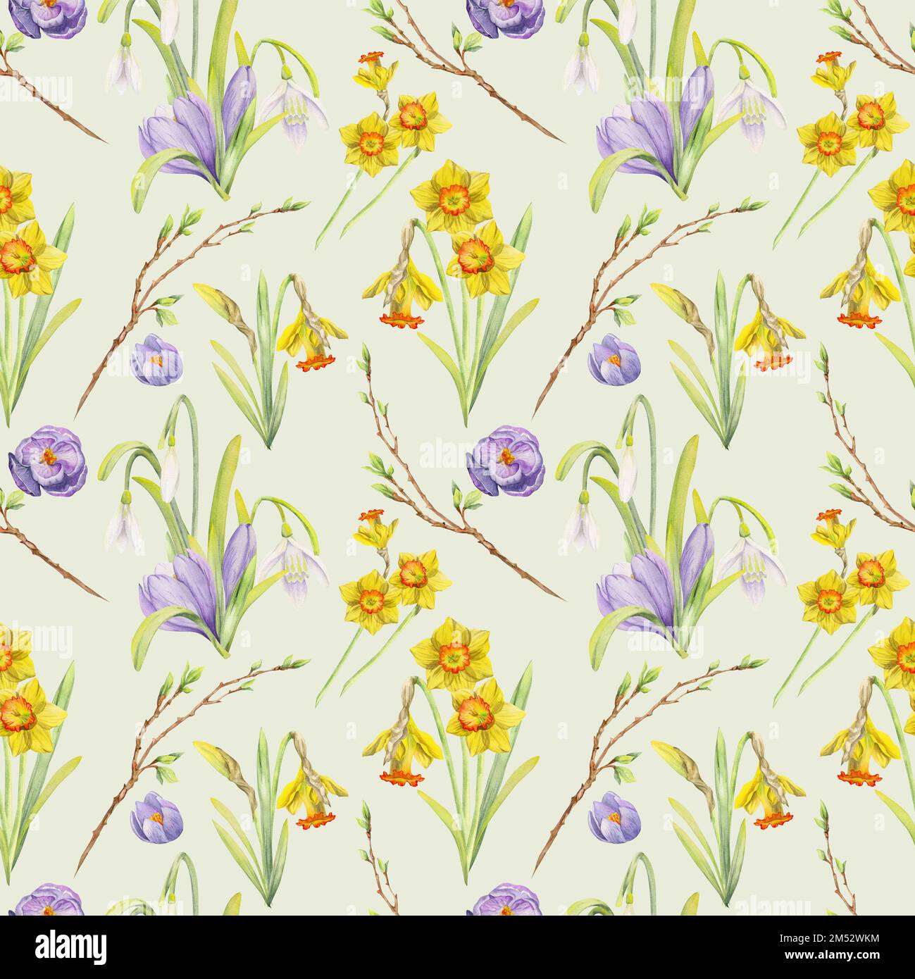 Watercolor hand drawn seamless pattern with spring flowers, daffodils ...