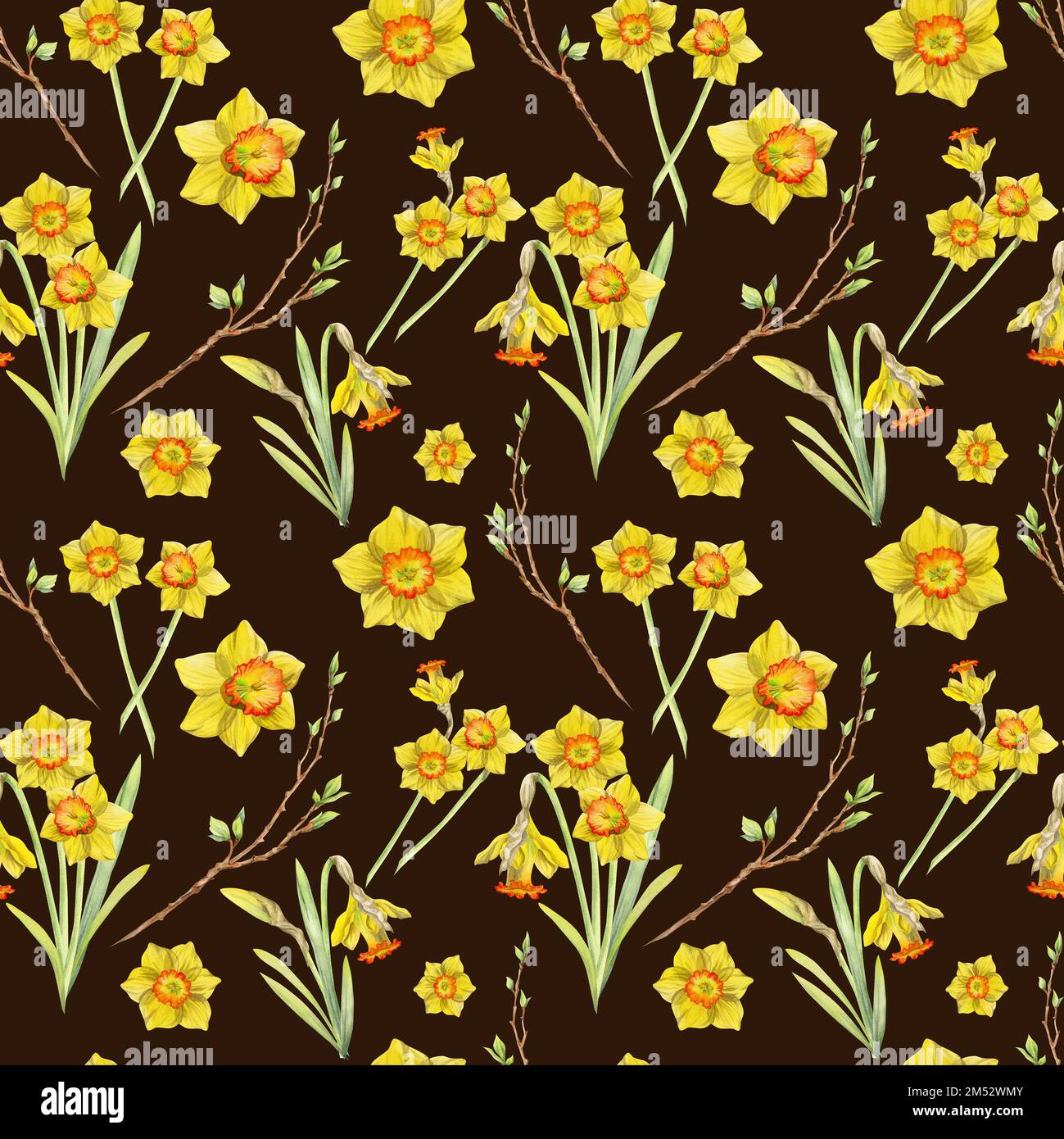 Watercolor hand drawn seamless pattern with spring flowers, daffodils ...