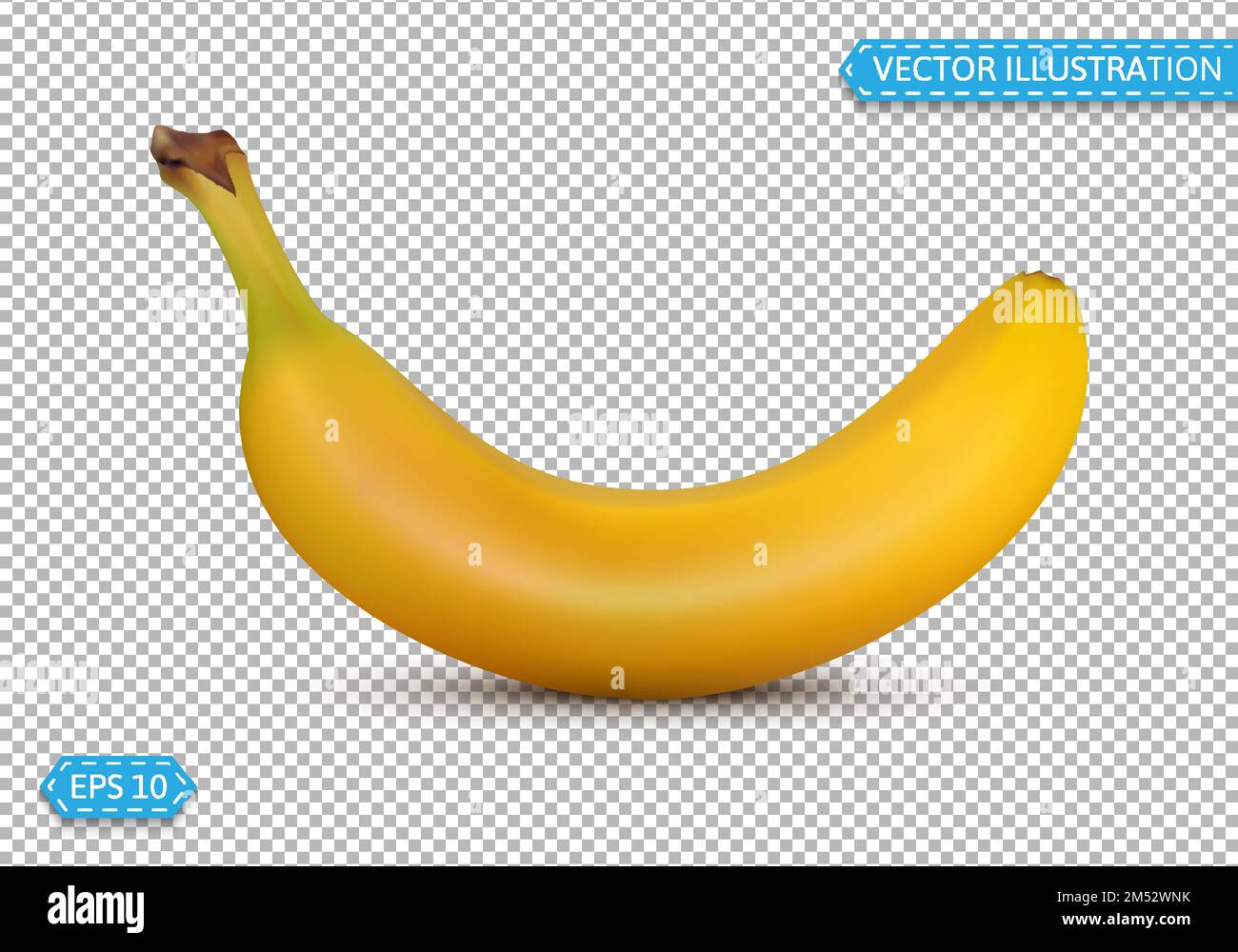 Banana in a realistic style isolated vector illustration on a ...