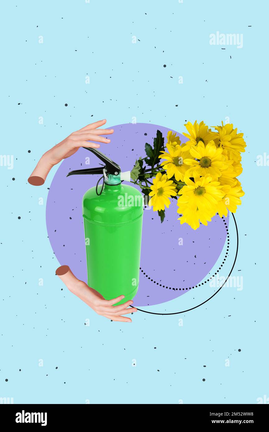 Collage photo of absurd creative surreal extinguisher yellow daisy ...