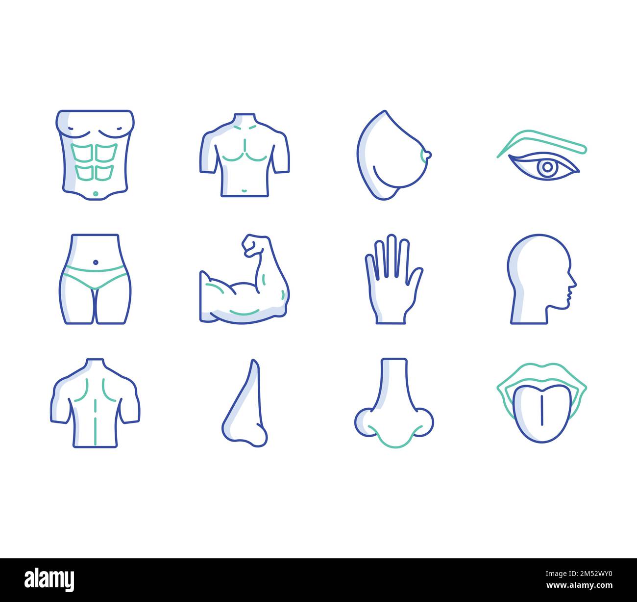 Human body parts icons Cut Out Stock Images & Pictures - Alamy