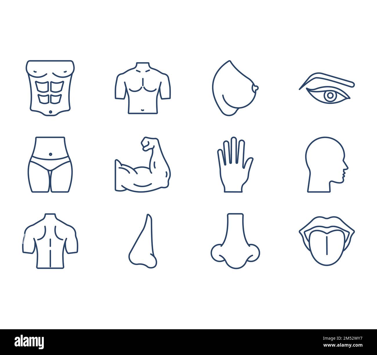 Human body parts icons Cut Out Stock Images & Pictures - Alamy