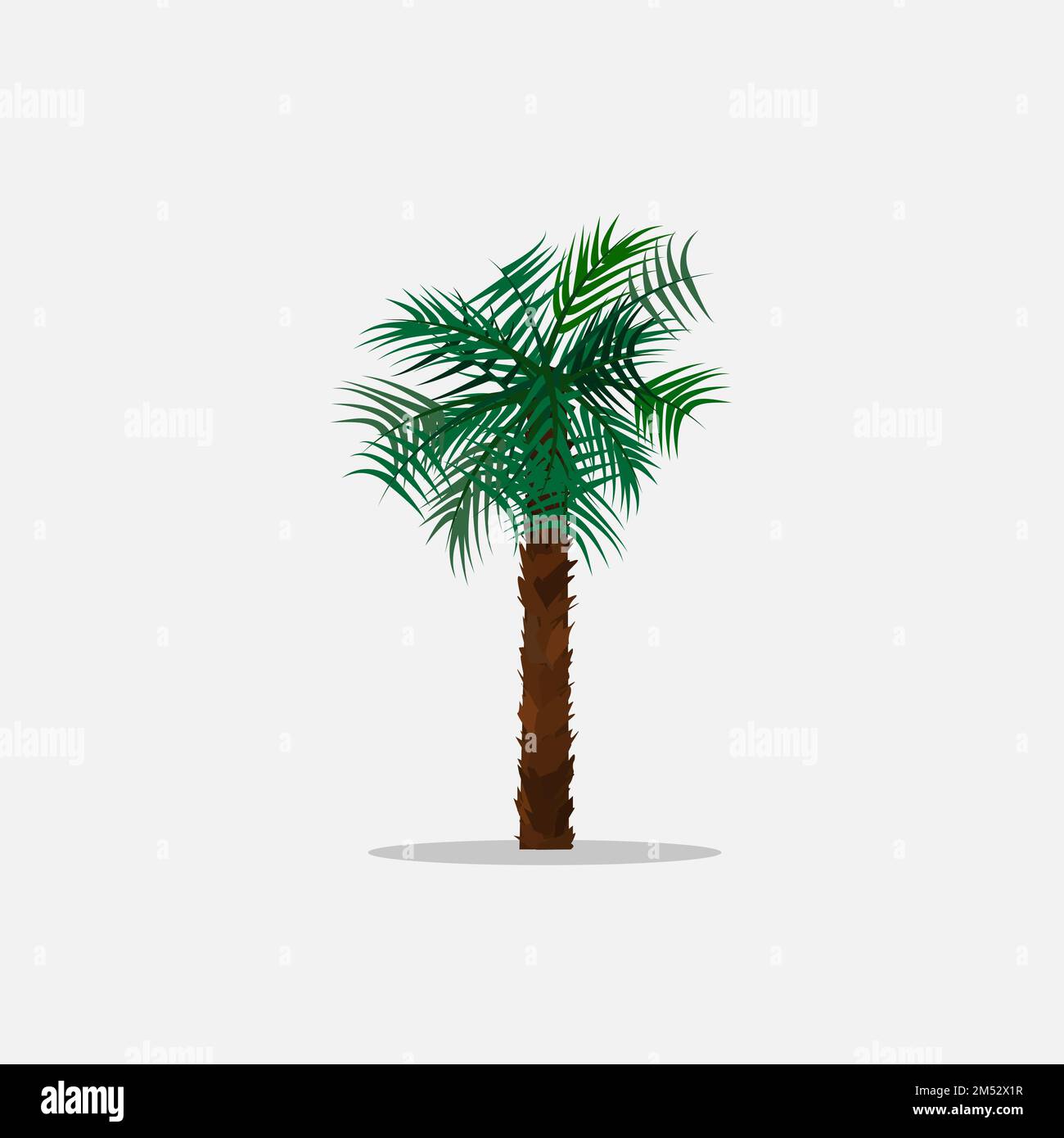 Palm trees in cartoon style isolated on white background Vector ...
