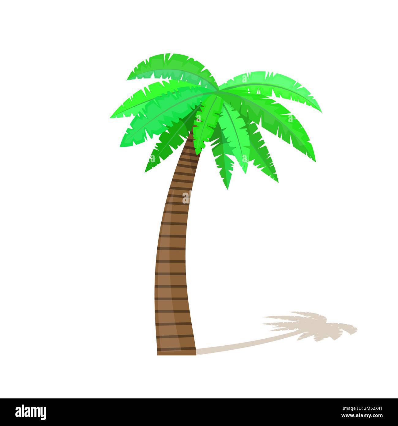 Palm trees in cartoon style isolated on white background Vector ...