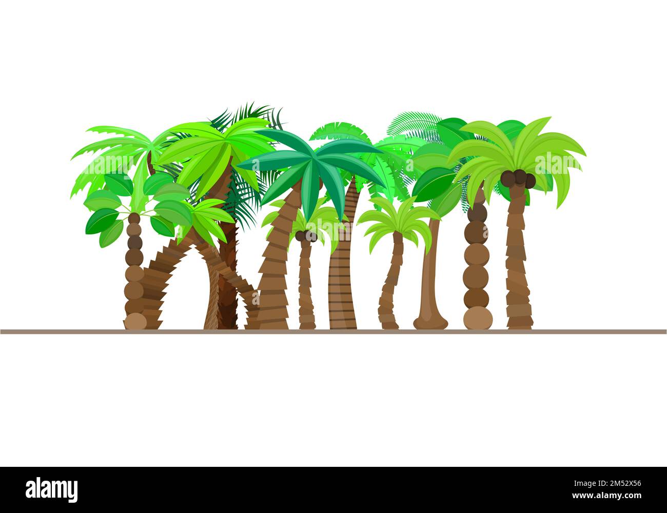 Palm tree, forest, jungle isolated in caricature style, set on a white ...