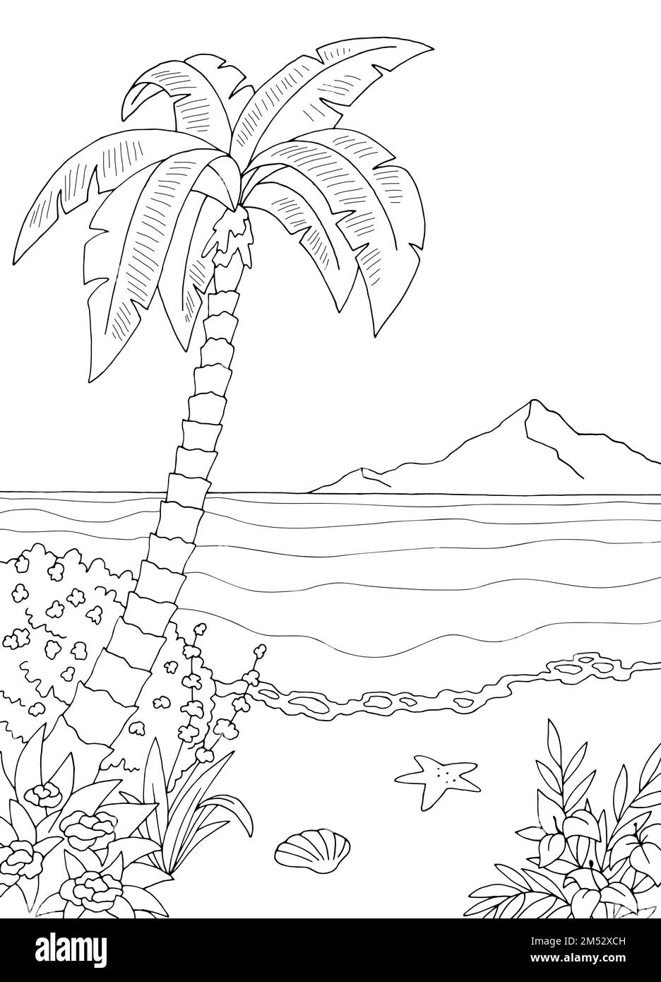 Sea coast graphic black white landscape sketch vertical illustration ...