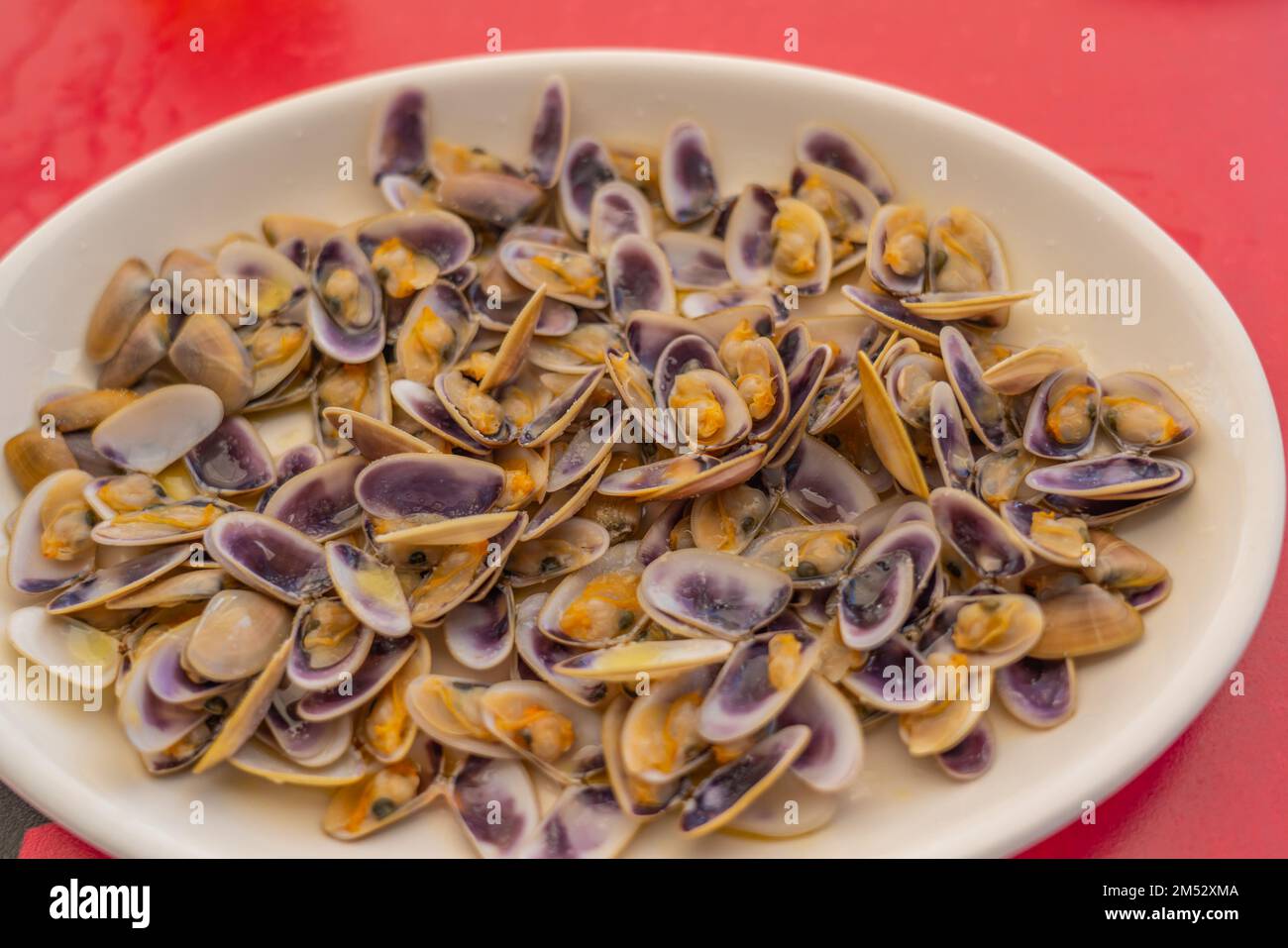 Clam shell variety hi-res stock photography and images - Alamy
