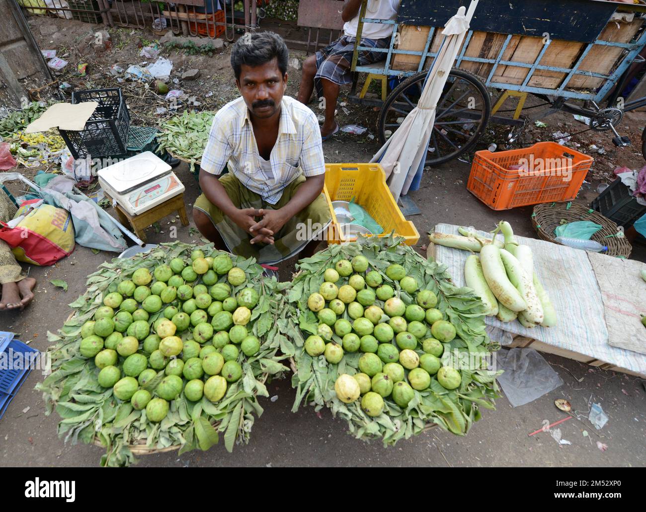 A Guava vendor at the market in Madurai, Tamil Nadu, India Stock Photo ...