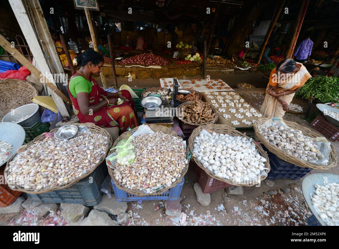 A garlic vendor at the market in Madurai, Tamil Nadu, India Stock Photo ...