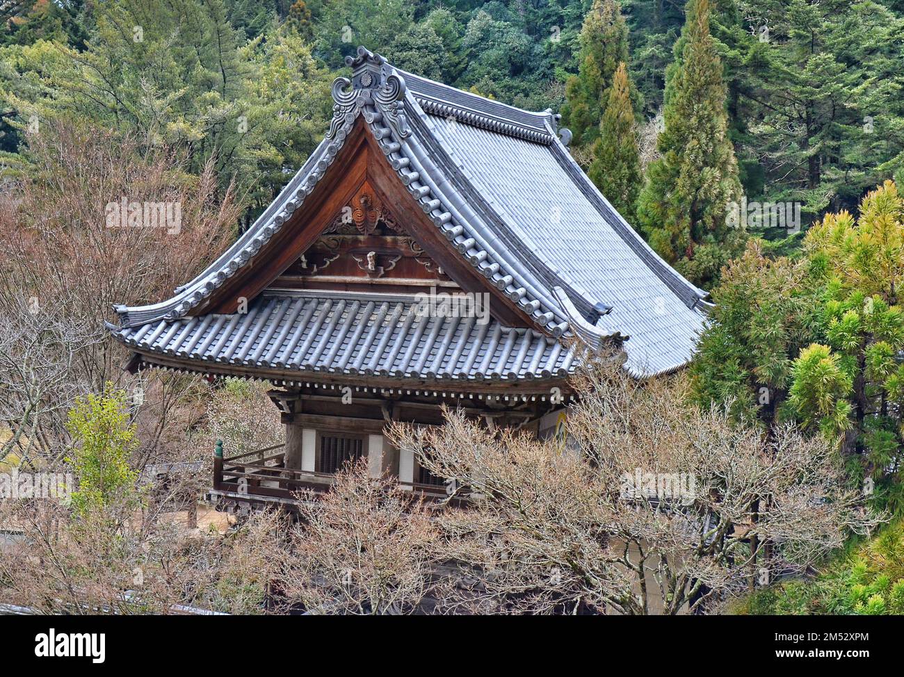 Daishō-in or Daisyō-in is a historic Japanese temple complex with many ...