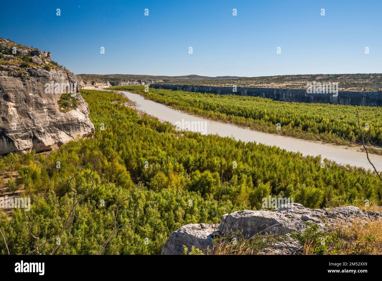 Rio Grande, formerly flooded Lake Amistad area, forest growing back ...