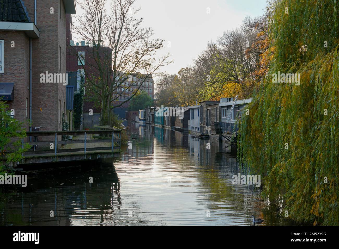 The floating houses in the canals of Amsterdam in the Netherlands with ...