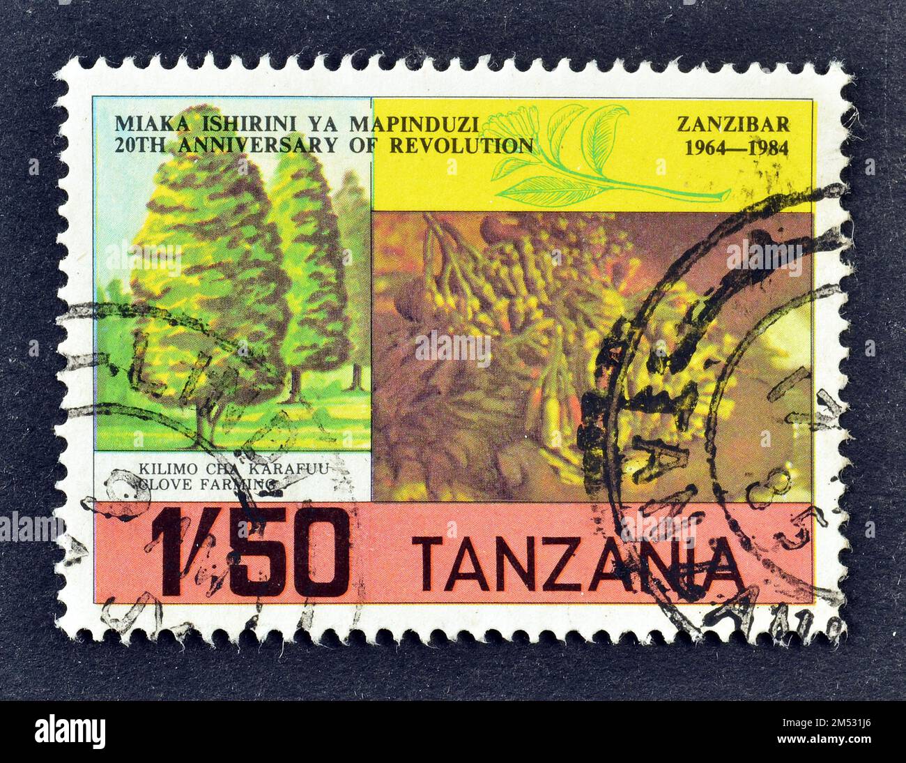 Cancelled postage stamp printed by Tanzania, that shows Cloves (Spice ...