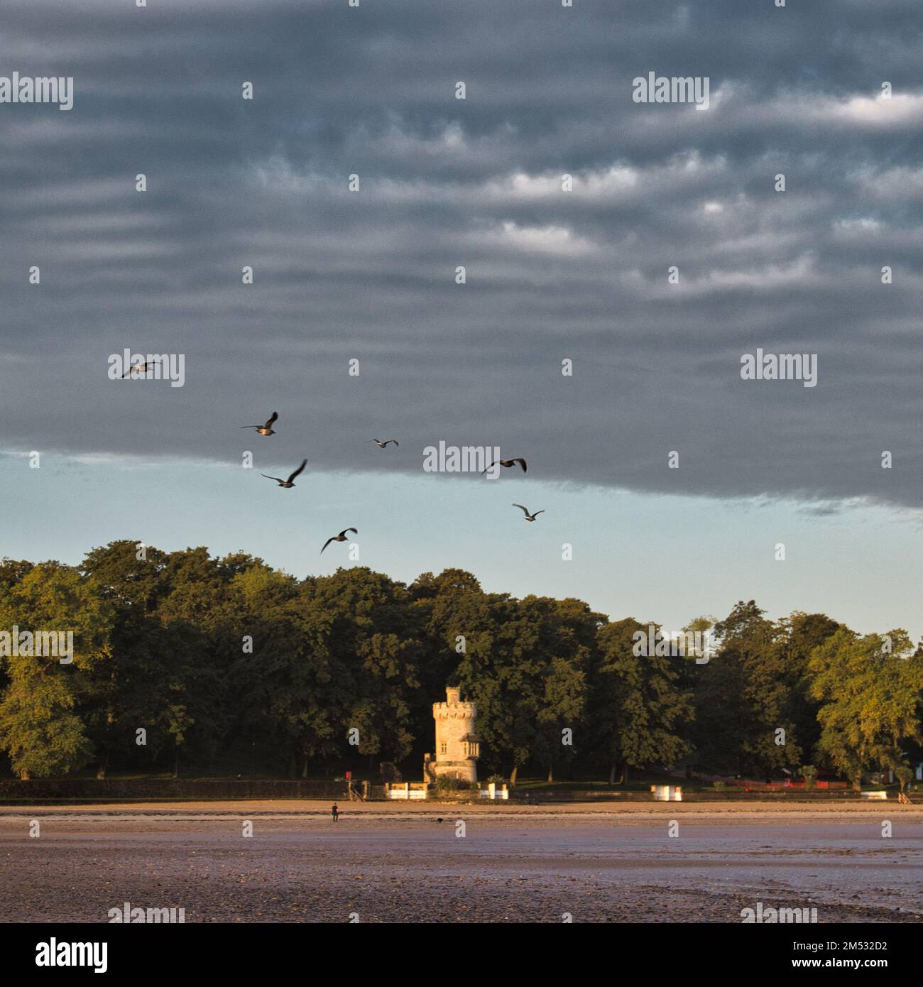 A beautiful view of birds flying over Appley beach in Ryde, Isle of ...