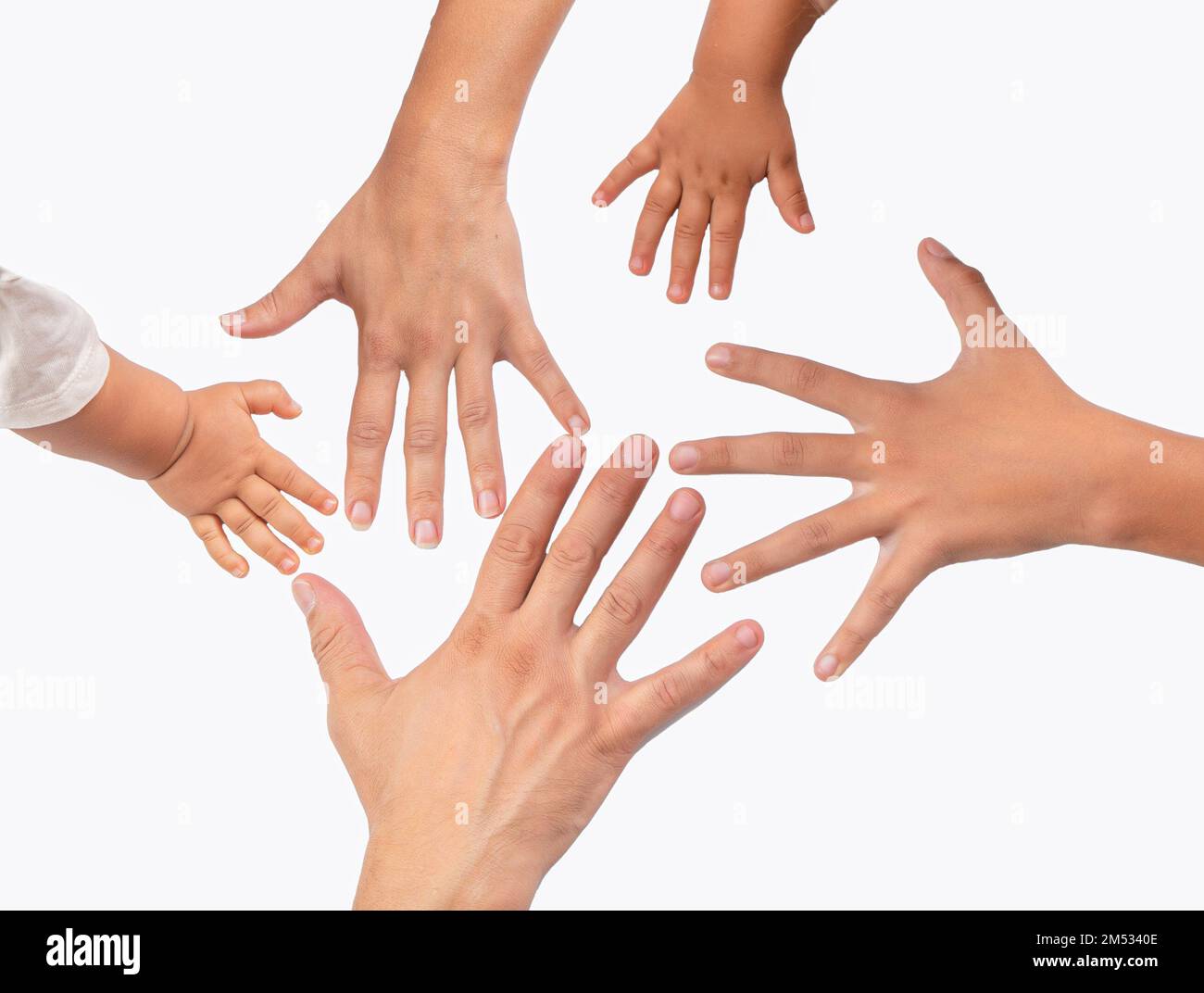 The hands of family members on a white background - the concept of ...