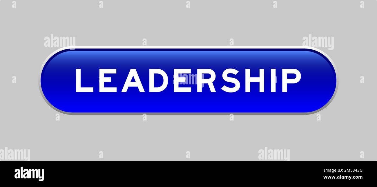 Blue color capsule shape button with word leadership on gray background ...