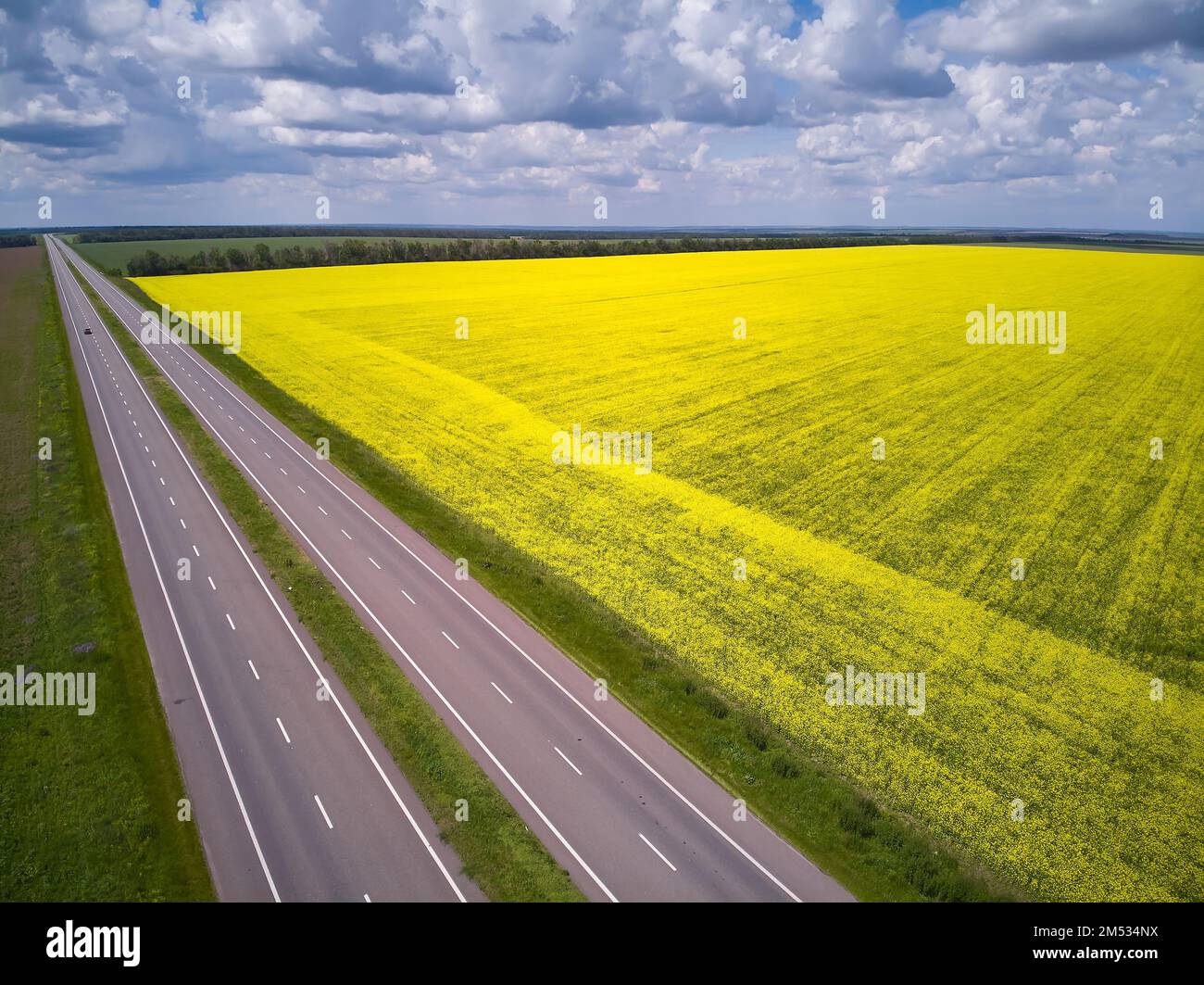 Field of rapeseed close to big city and highway. Aerial drone view ...
