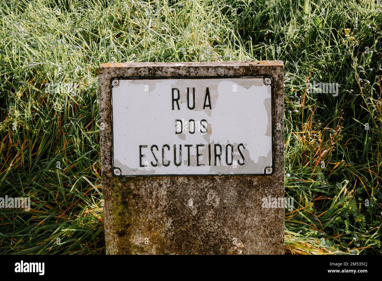A closeup shot of a stone sign with the "Street Scouts" text Stock ...