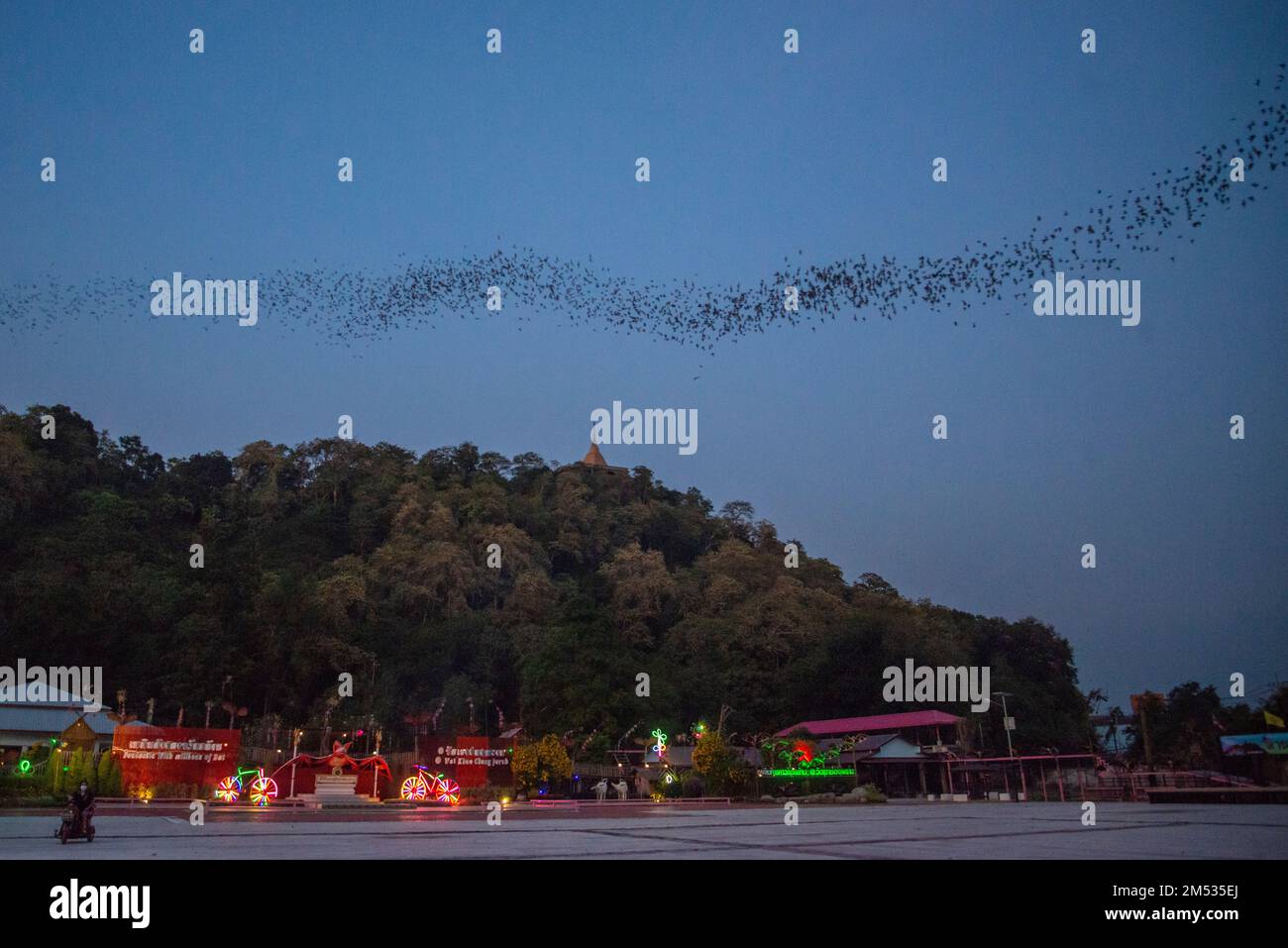 One Million Bat fly out of the Kang Khao Cave at the Wat Khao Chong ...