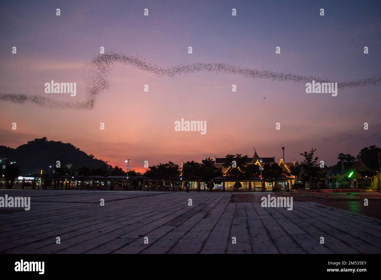 One Million Bat fly out of the Kang Khao Cave at the Wat Khao Chong ...
