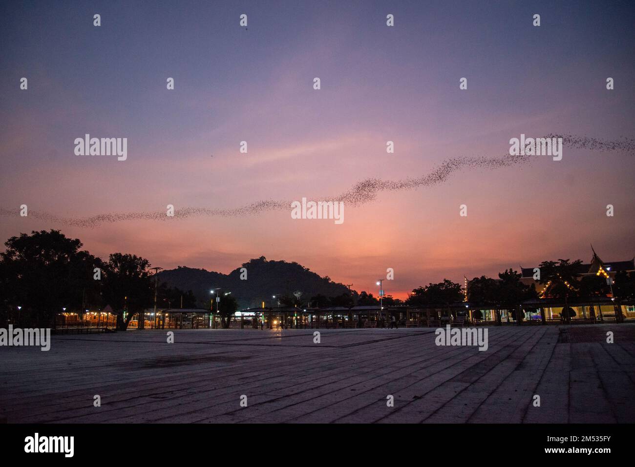 One Million Bat fly out of the Kang Khao Cave at the Wat Khao Chong ...