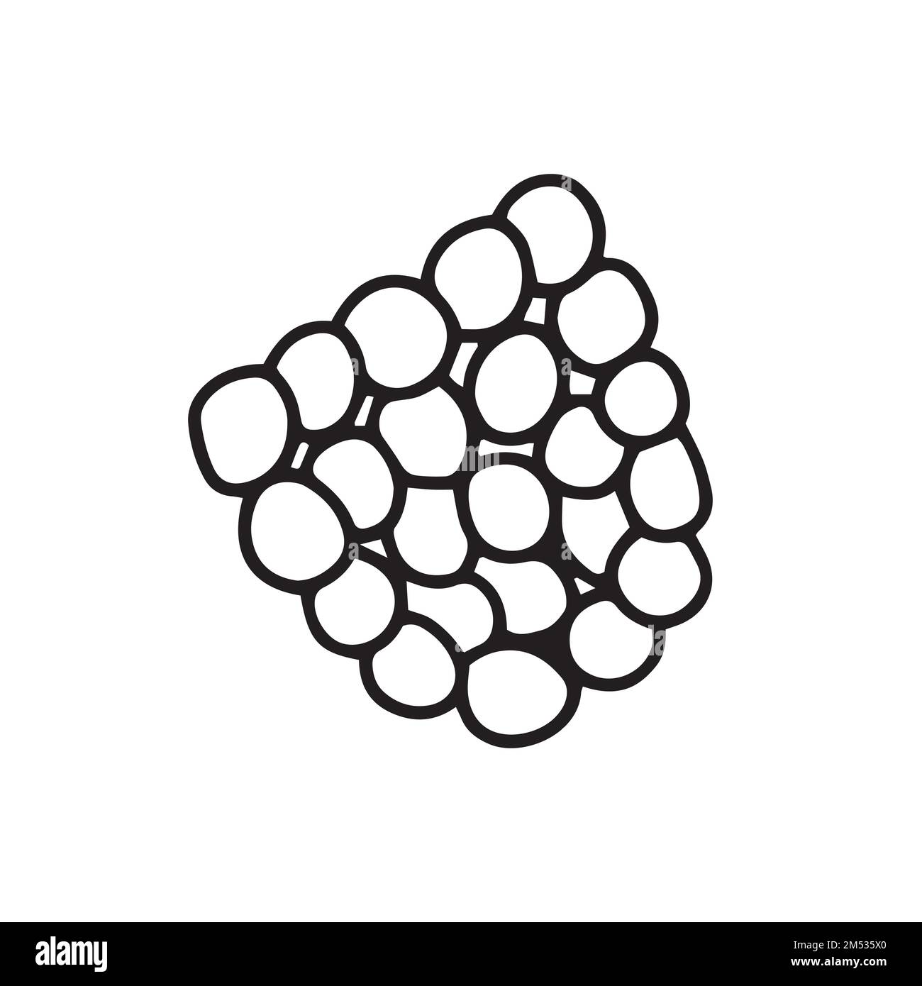 Hand drawn doodle raspberry Stock Vector Image & Art - Alamy