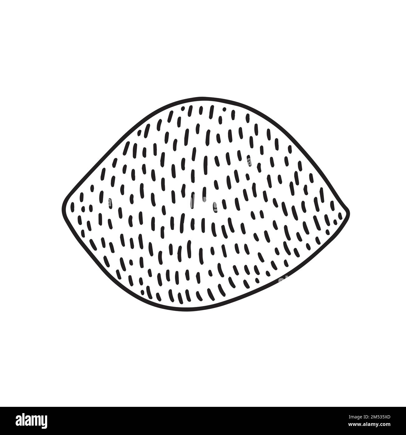 Vector lemon sketch illustration Stock Vector Image & Art - Alamy