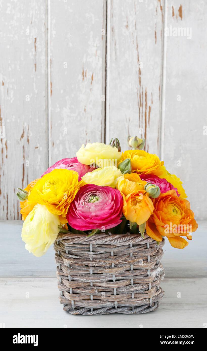 Bouquet of colorful ranunculus flowers. Party decor Stock Photo - Alamy