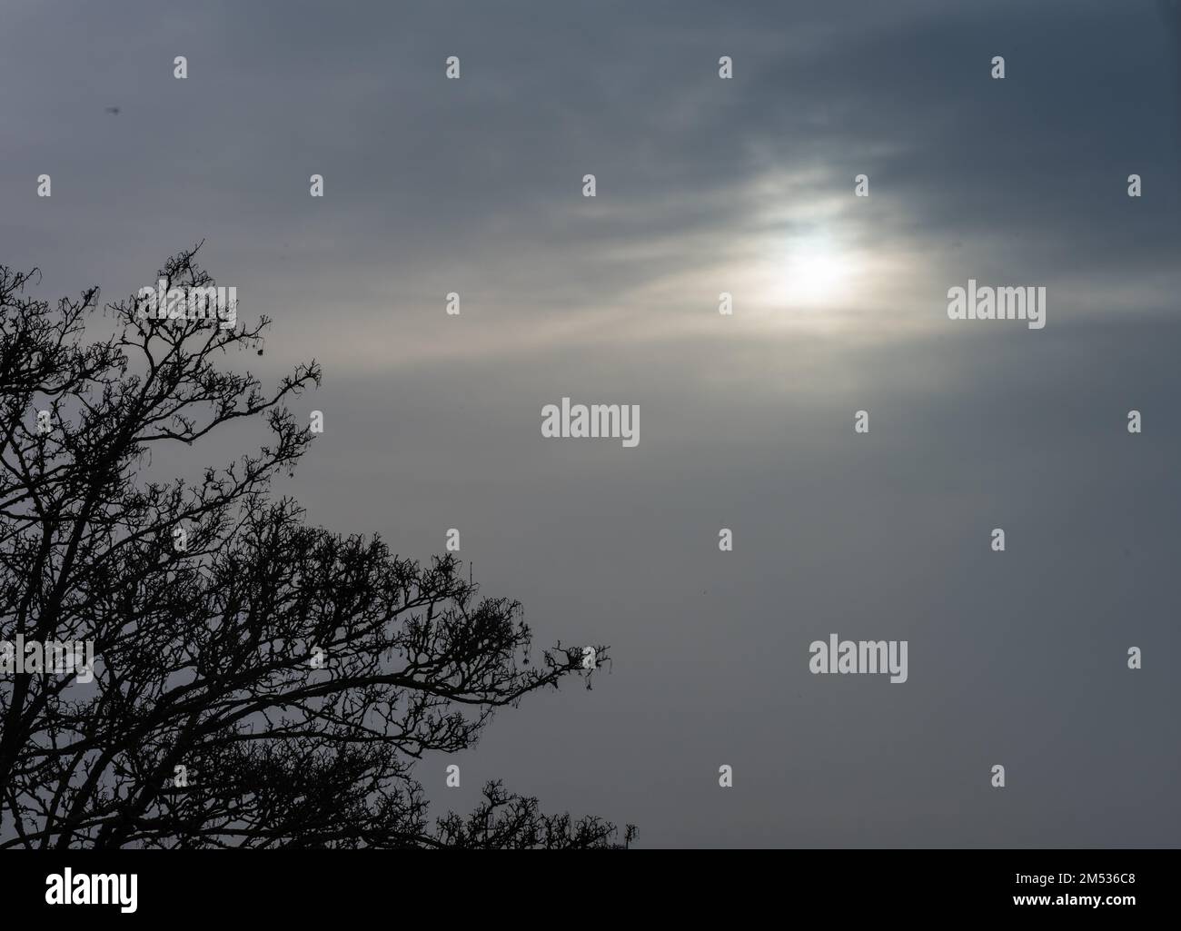Winter Skies over the Otter Valley Stock Photo - Alamy