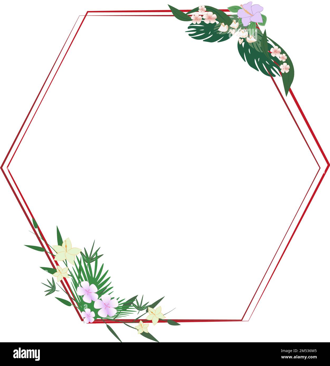 Plant border isolated Stock Vector Images - Alamy