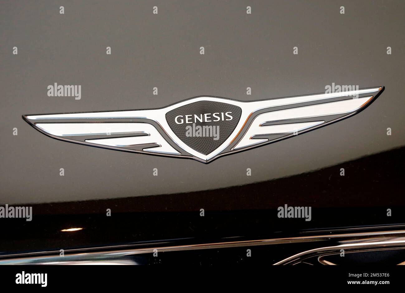 2022 Hyundai Genesis Logo