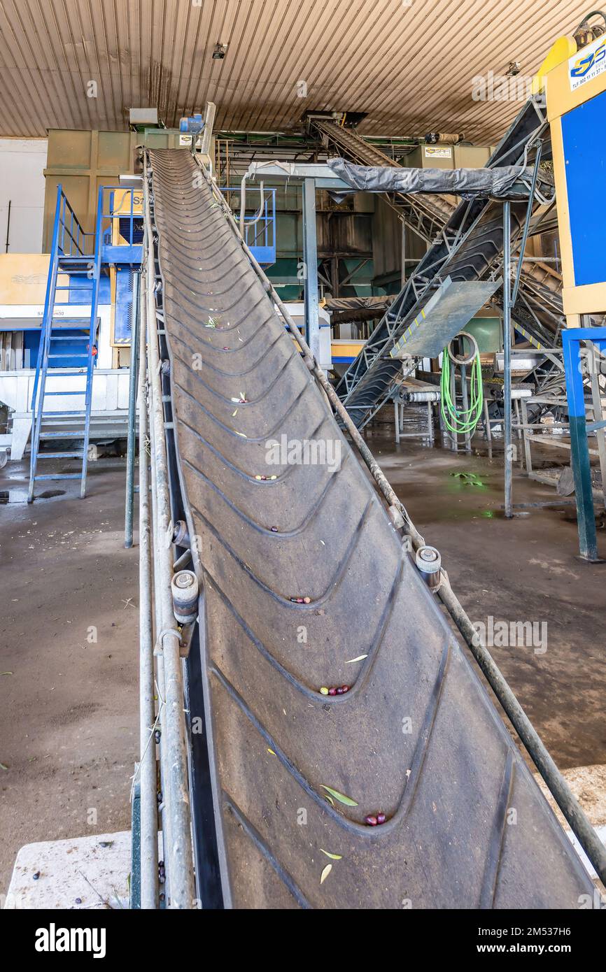 Olive oil factory hi-res stock photography and images - Alamy