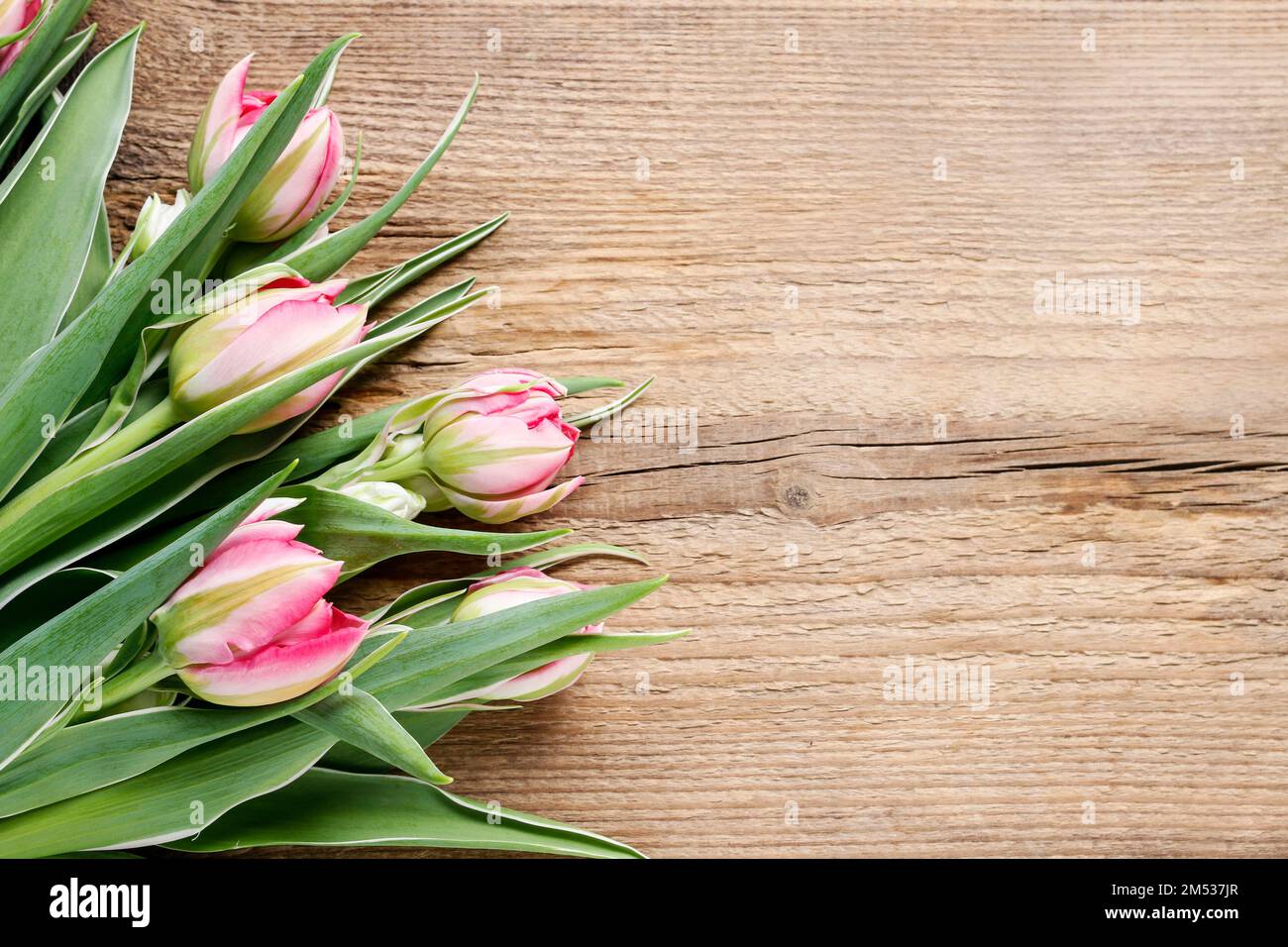 Beautiful pink tulips on wooden background. Copy space Stock Photo - Alamy
