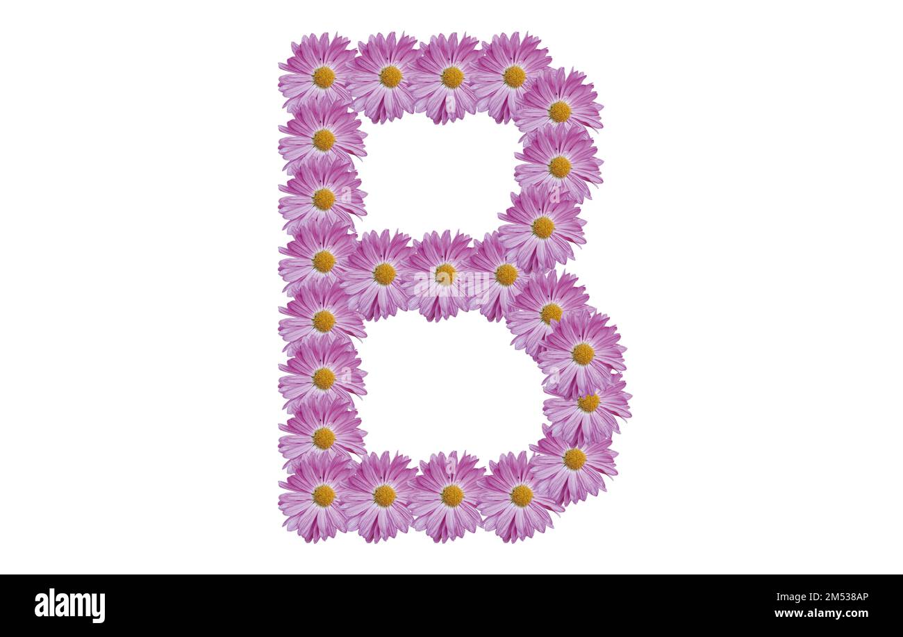 Letter B made with pink flower isolated on white background. Spring ...